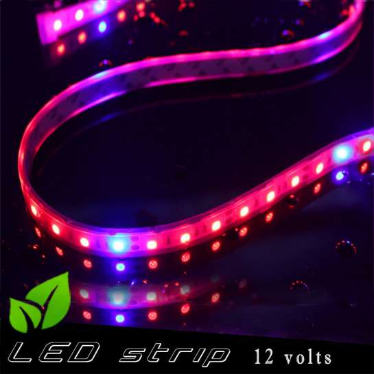 Strip LED horticole 12 volts - IP67 avec LED rouge bleue ratio 7 / 1